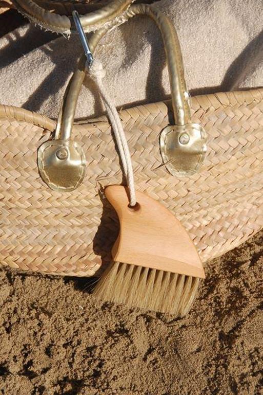 Beach Brush Sharky – Albany Eco House